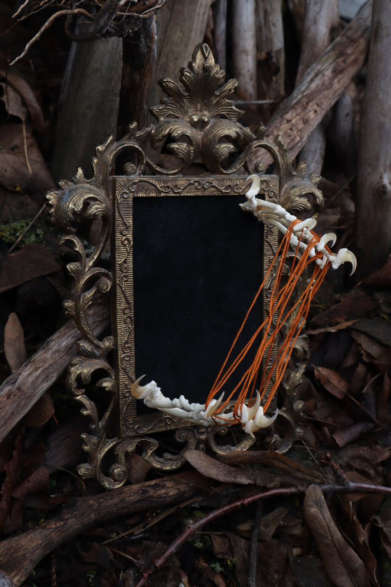 Bobcat's Cradle – Freyja's Forest