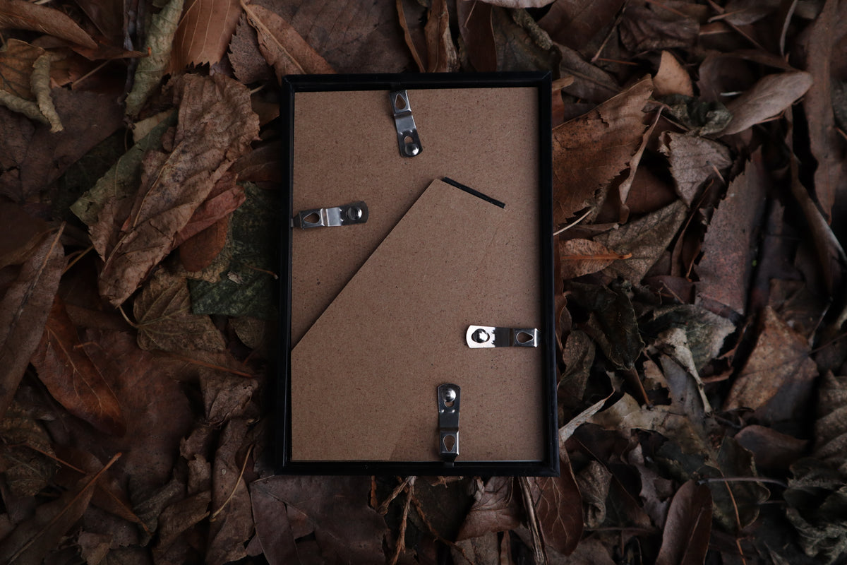 Spirit of the Forest - Framed Original Drawing – Freyja's Forest