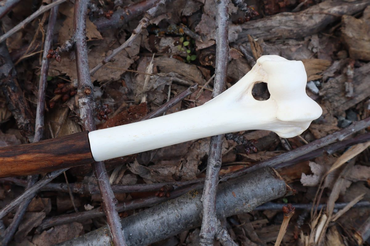 Reserved for Sammy - Down Payment for Wolf Bone Wand – Freyja's Forest