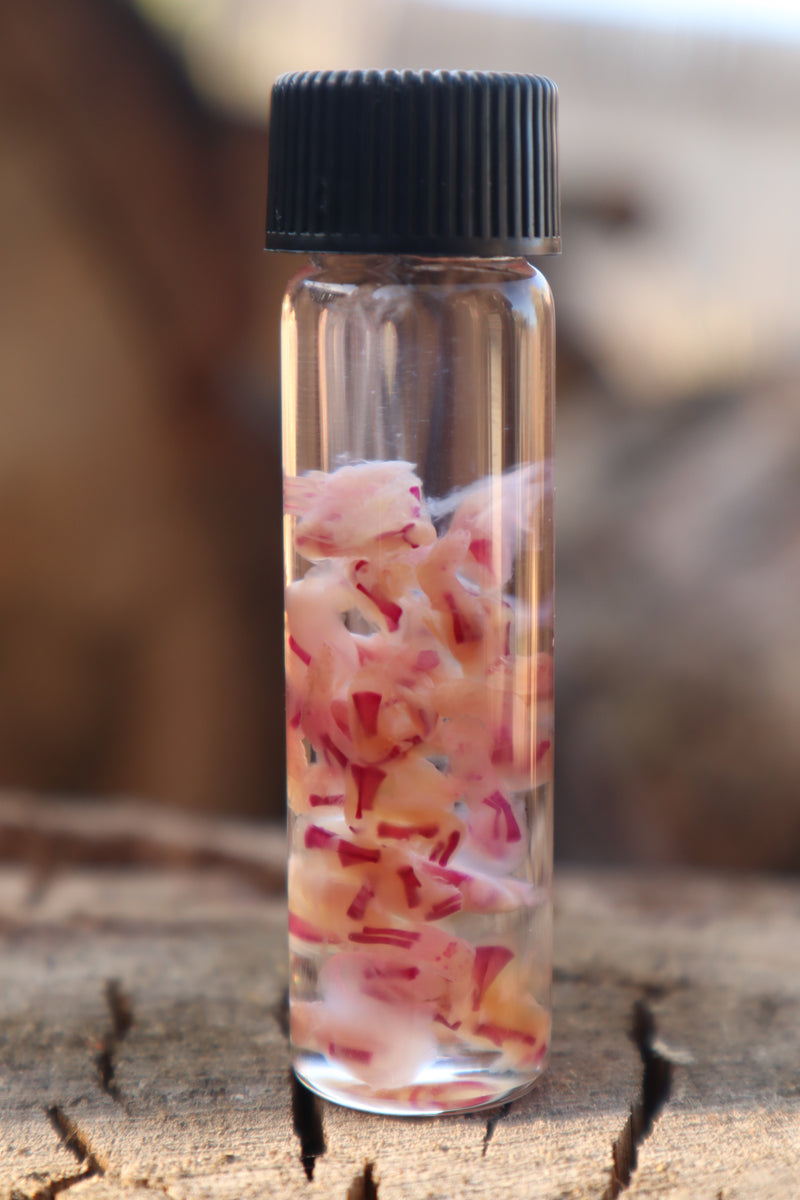 Diaphonized Baby Mouse Arms and Legs – Freyja's Forest