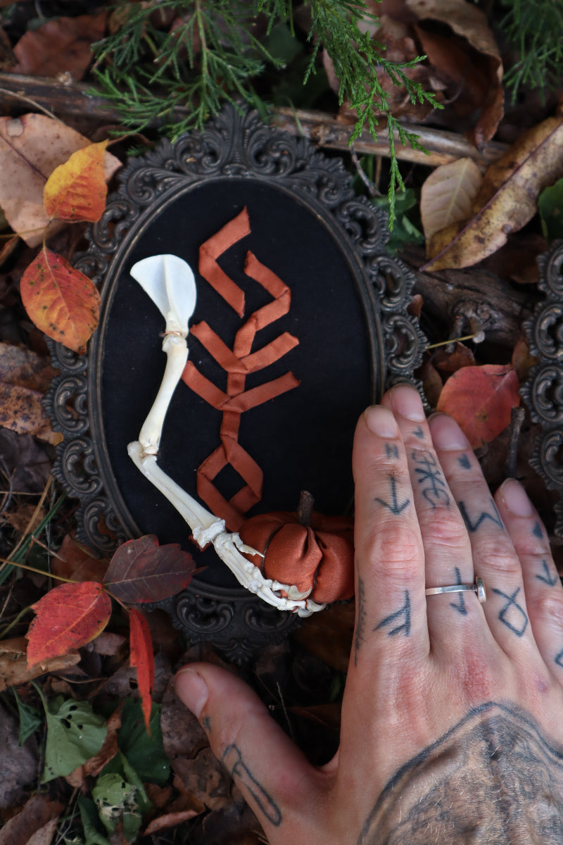 Harvest Kitten – Freyja's Forest