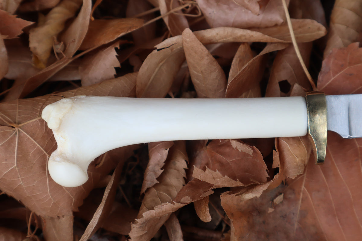 Bobcat Femur Knife – Freyja's Forest
