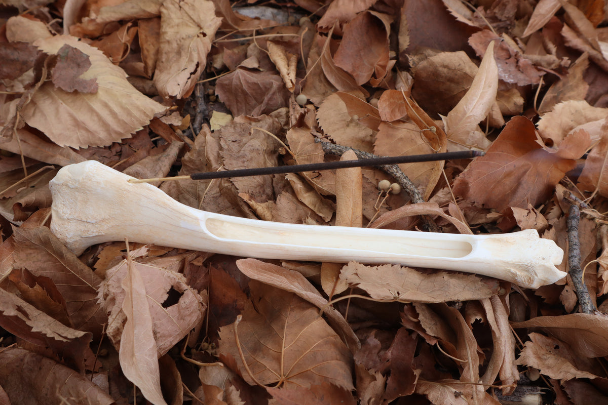 Reserved for Kelsey - Whitetail Deer Bone Incense Burner – Freyja's Forest