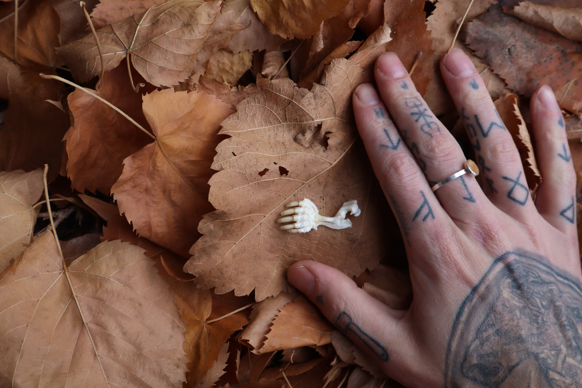 Mole Arm Articulation – Freyja's Forest