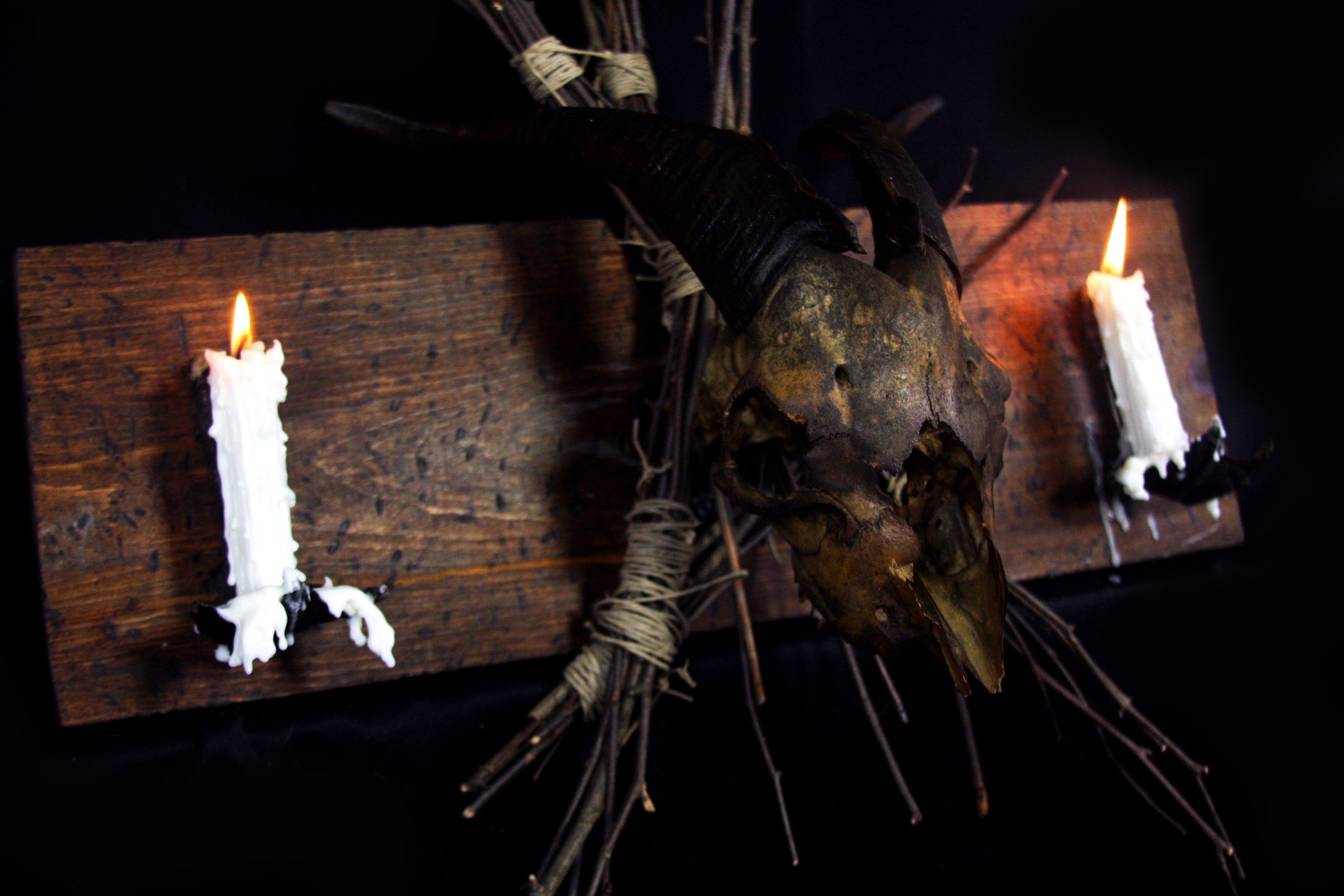 Freyja's Forest Afterlife Shop