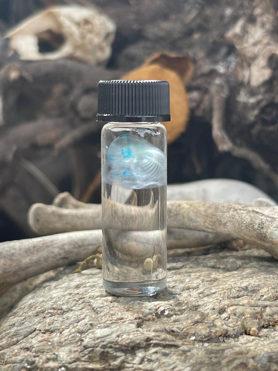 Diaphonized Fetal Mouse – Freyja's Forest