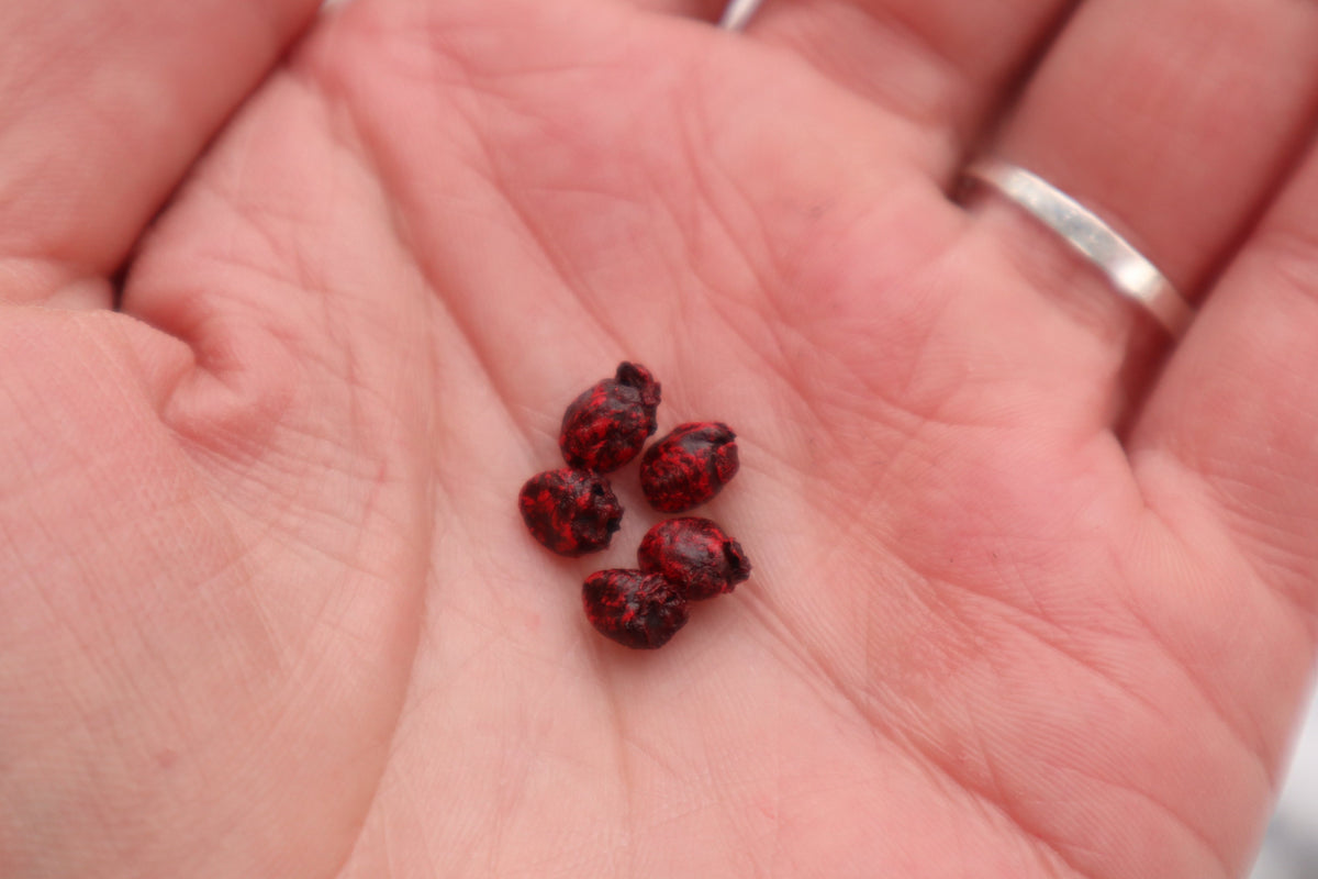 Dry Preserved Mouse Heart – Freyja's Forest