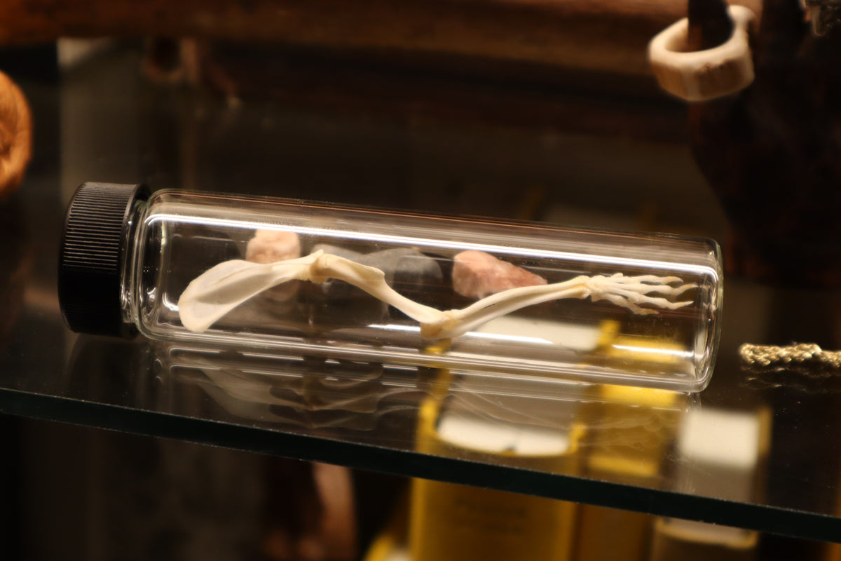 Rat Arm Articulation – Freyja's Forest