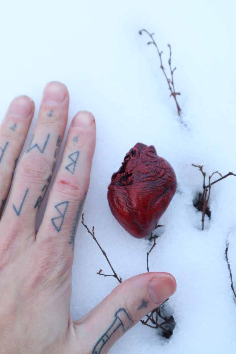 Dry Preserved Red Fox Heart – Freyja's Forest