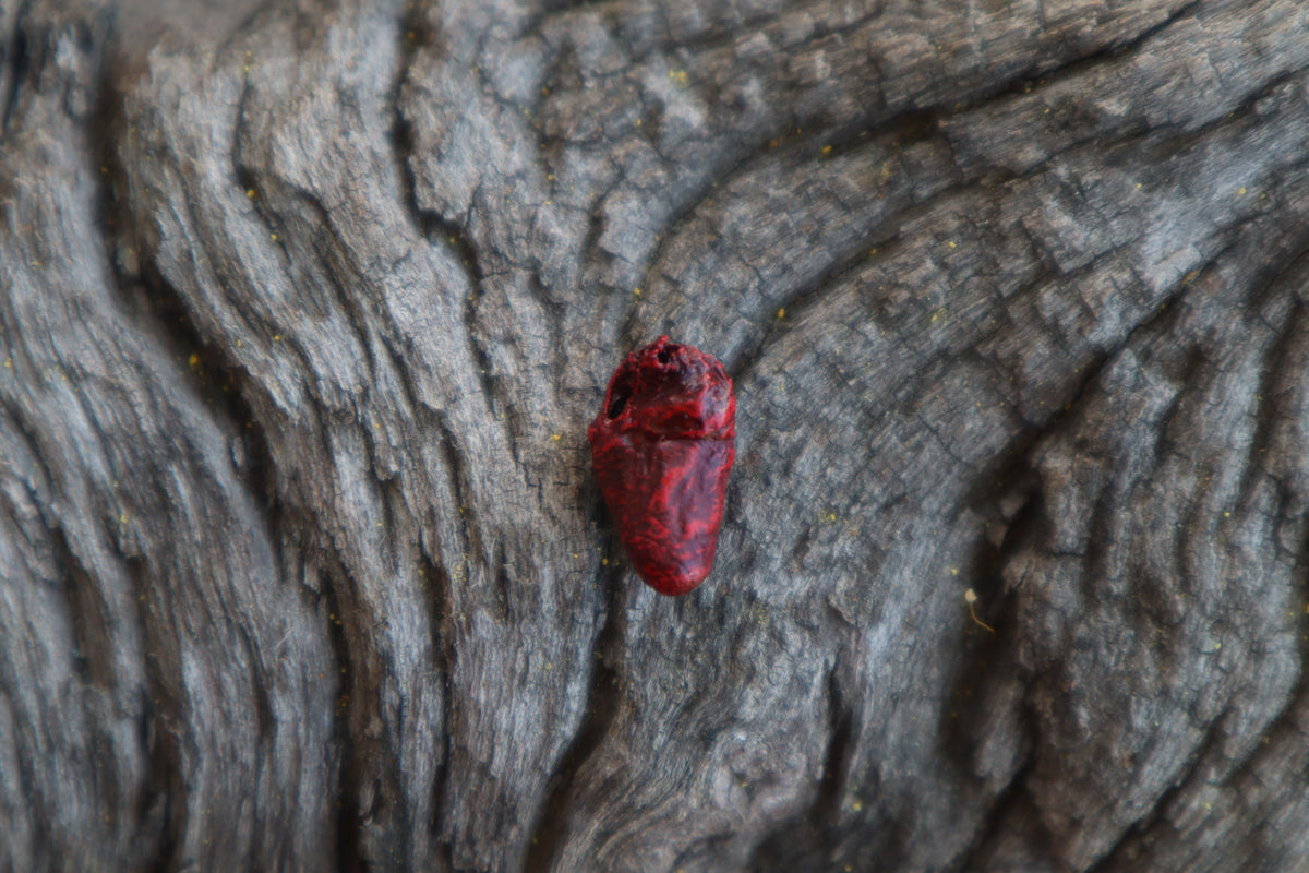 Dry Preserved Mole Heart – Freyja's Forest