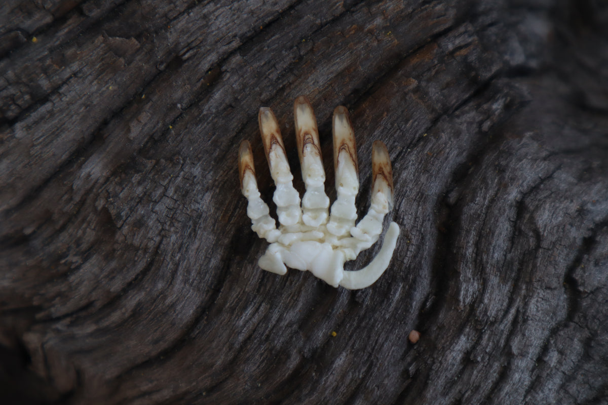 Mole Paw Articulation – Freyja's Forest