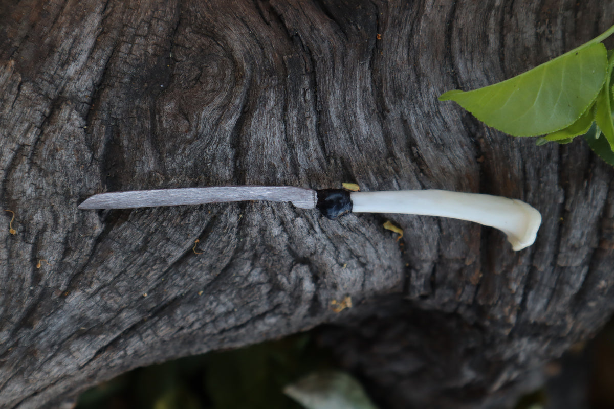 Eastern Gray Squirrel Tibia Knife – Freyja's Forest