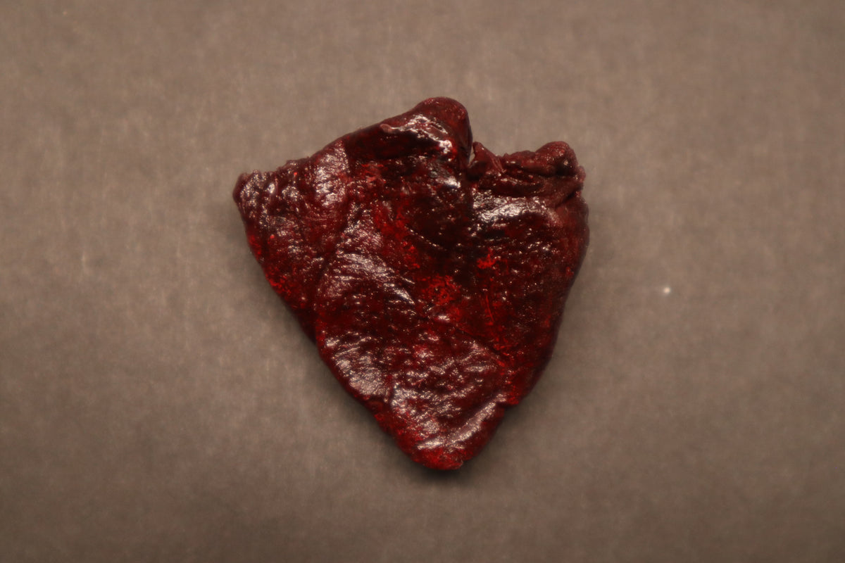 Dry Preserved Baby Goat Heart – Freyja's Forest