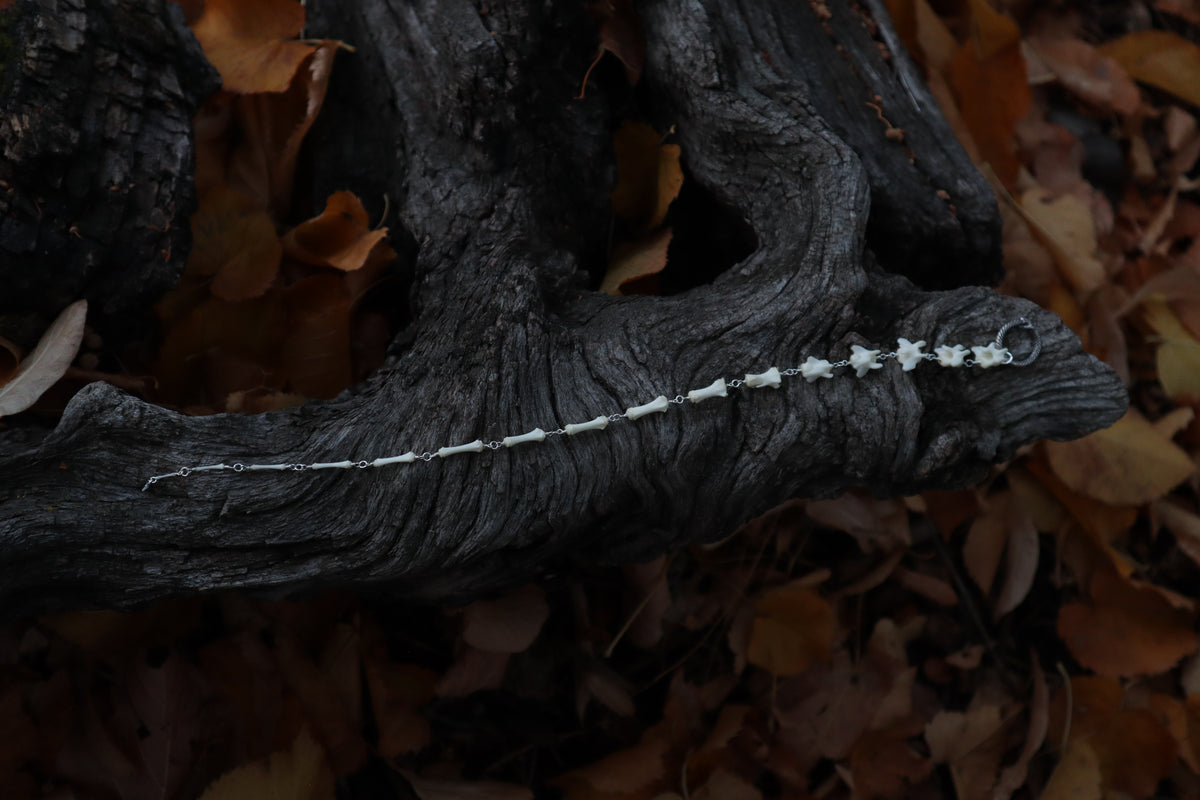 Fluid Striped Skunk Tail Articulation with Ouroboros Ring – Freyja's Forest