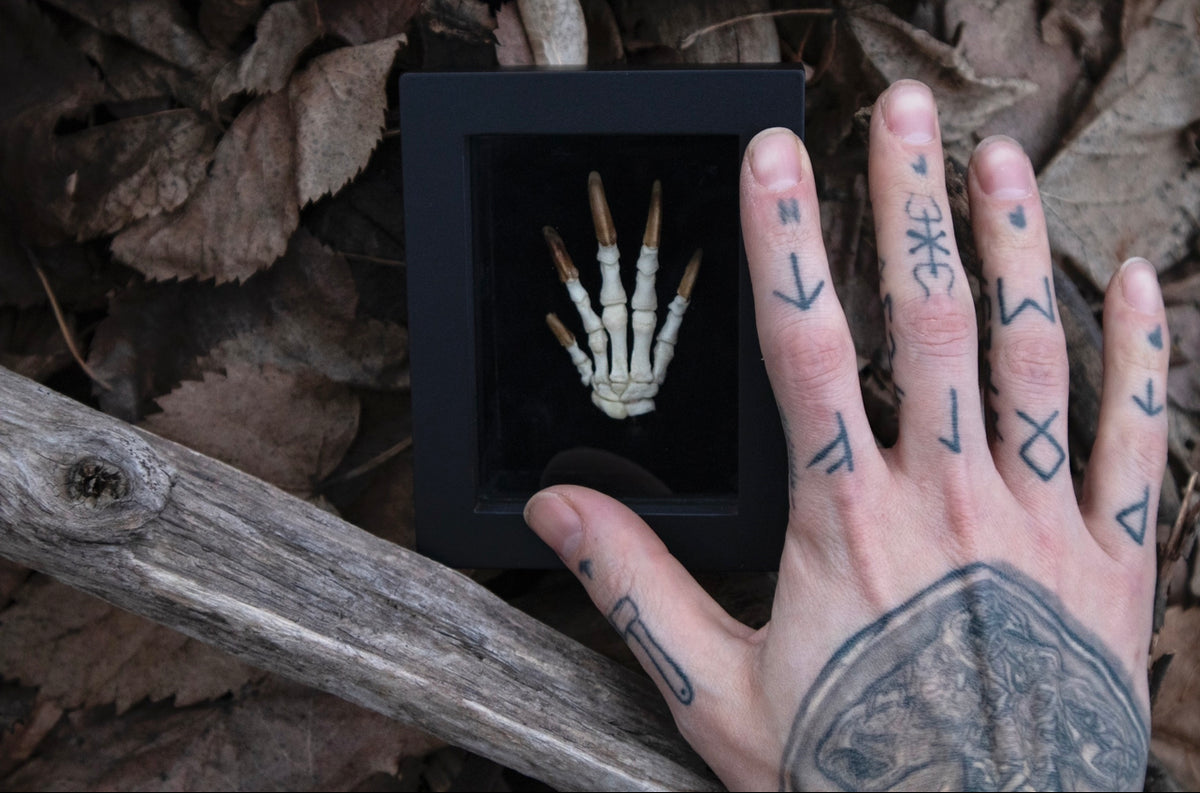 Beaver Paw Articulation – Freyja's Forest